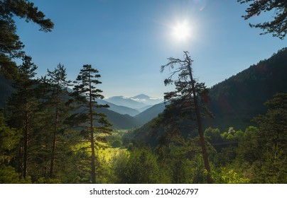 3,114 Peeking through trees Images, Stock Photos & Vectors | Shutterstock