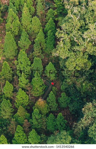Pine Trees Triangle Shapes Long Stairway Stock Photo 1413540266 ...