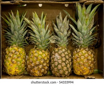 8,729 Pineapple box Images, Stock Photos & Vectors | Shutterstock