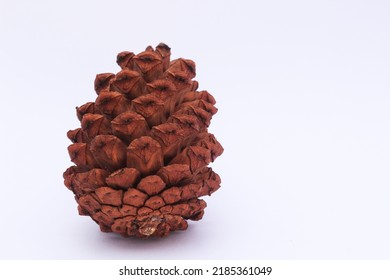 28,854 Pinecone texture Images, Stock Photos & Vectors | Shutterstock