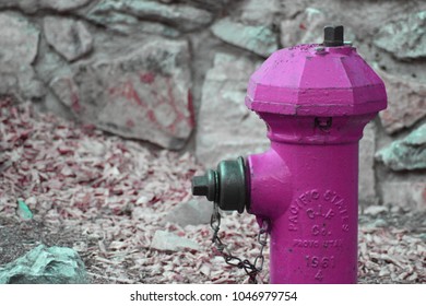 80,170 Pink fire Stock Photos, Images & Photography | Shutterstock