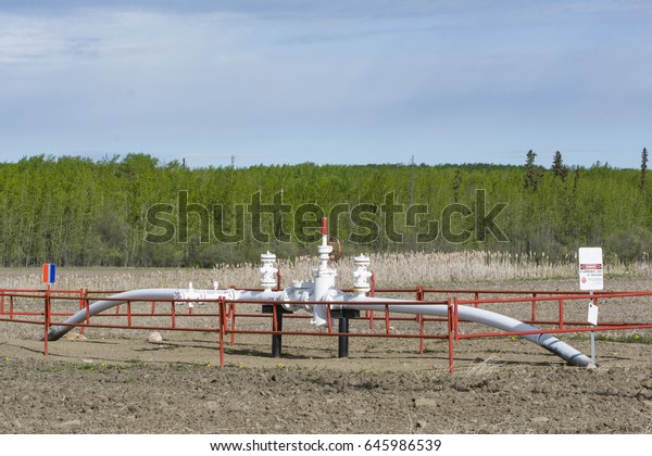 Pipeline Riser Tree Background Stock Photo 645986539 | Shutterstock