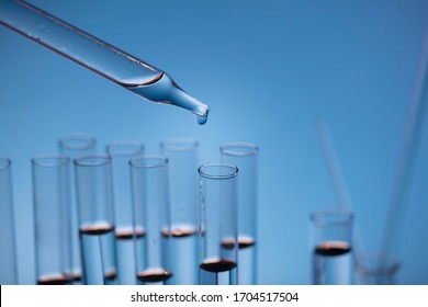 Pipette Dropping Sample Into Test Tube Stock Photo 1704517504 ...