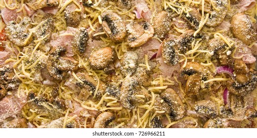 Baby Golden Knee Tarantula Stock Photo 1342150355 | Shutterstock