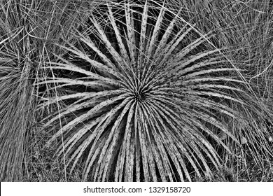 Plan Pattern Seen Above Stock Photo 1329158720 | Shutterstock