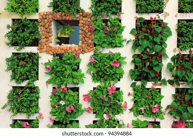 Plant Frame Background Stock Photo 94394884 | Shutterstock
