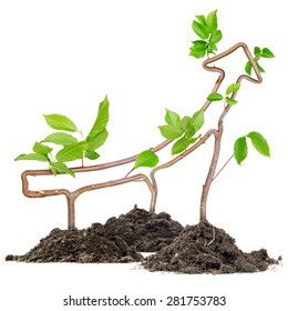 Three Plants Growing Ground Vector Illustration Stock Vector (Royalty ... Three Plants Growing Ground Vector Illustration Stock Vector (Royalty ...