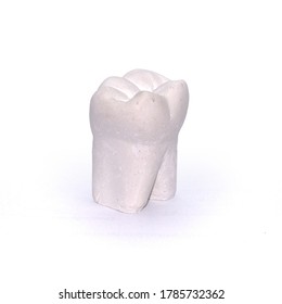 Plaster Model Mandibular Second Molar Tooth Stockfoto 1785732371 ...