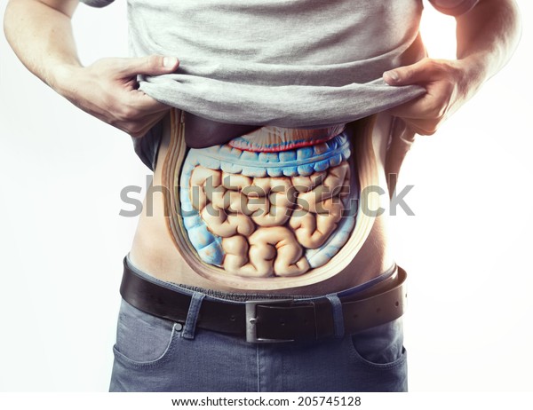 Plastic Bowels Stock Photo 205745128 | Shutterstock