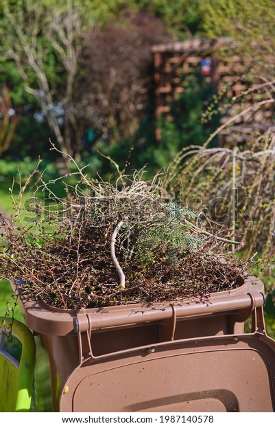 Plastic Container Clipped Branches Spring Garden Stock Photo 1987140578 ...