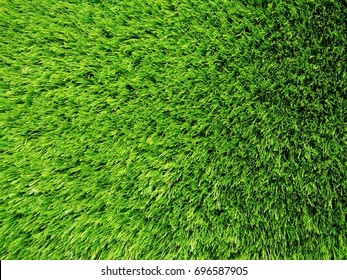 Plastic Green Grass Texture Background Bird Foto Stok 696587905 ...