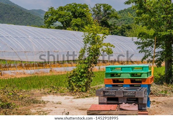 Plastic Loading Pallets Stacked On Concrete Stock Photo 1452918995 ...