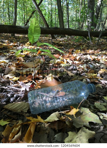 Plastic Pollution Forest Stock Photo 1204569604 | Shutterstock
