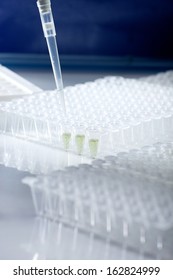 Plastic Tubes Dna Amplification Loading Pipette Stock Photo (Edit Now ...