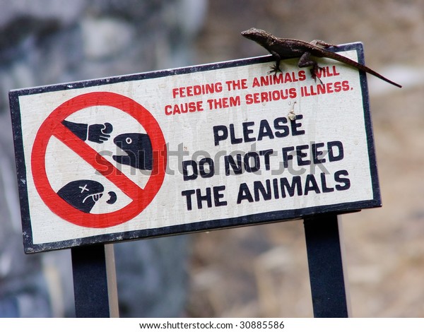 Please Do Not Feed Animals Sign Stock Photo (Edit Now) 30885586