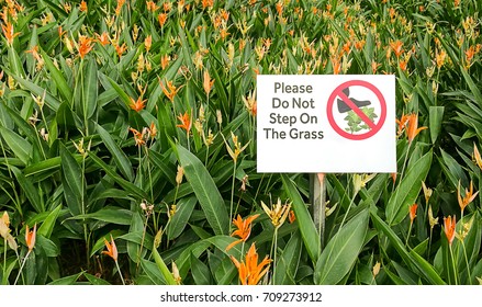 130 imágenes de Do not step on flowers - Imágenes, fotos y vectores de ...
