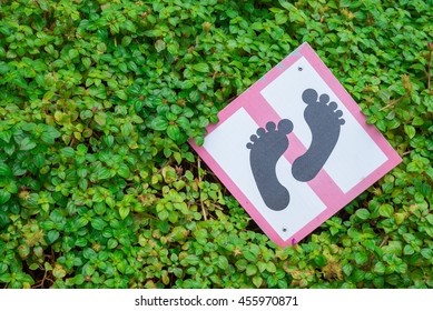 Please Do Not Step Plants Sign Stock Photo 455970871 | Shutterstock