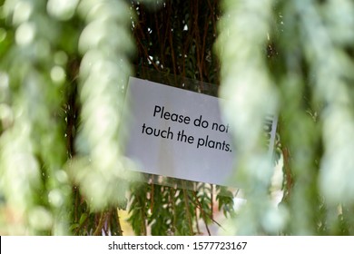 Please Do Not Touch Plants Sign Stock Photo (Edit Now) 1577723167