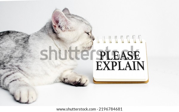 Please Explain Notepad On White Background Stock Photo 2196784681 ...