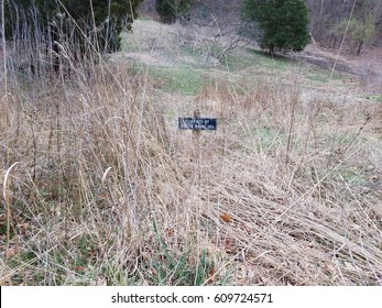 203 imágenes de Sensitive planted area - Imágenes, fotos y vectores de ...