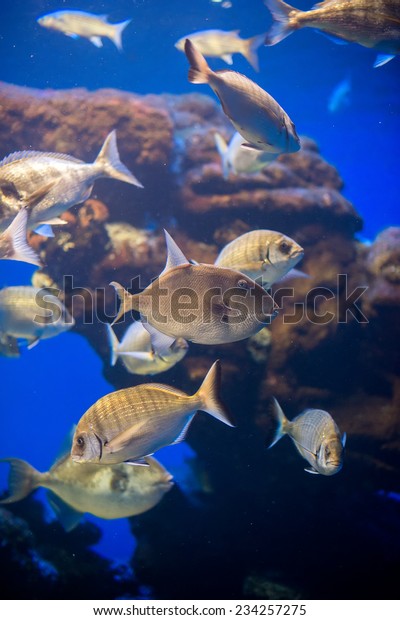 Browse plenty of fish photos | Profile Pains: How to Write Your Dating ... Browse plenty of fish photos | Profile Pains: How to Write Your Dating ...