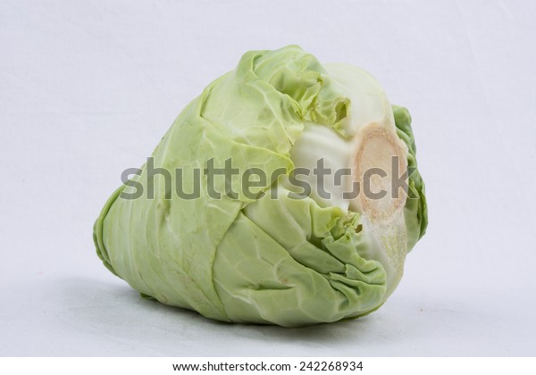 Point Cabbage Isolated Stock Photo 242268934 | Shutterstock