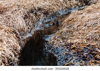 135 Mine Runoff Images, Stock Photos & Vectors | Shutterstock