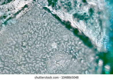 Polymer Surface Texture Stock Photo 1048865048 | Shutterstock
