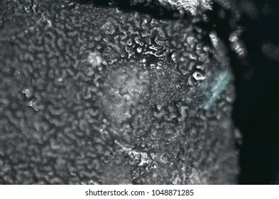 Polymer Under Microscope Stock Photo (Edit Now) 1048871285