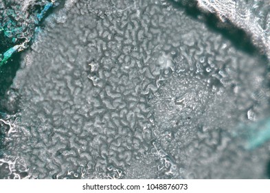 Polymer Under Microscope Stock Photo 1048876073 | Shutterstock