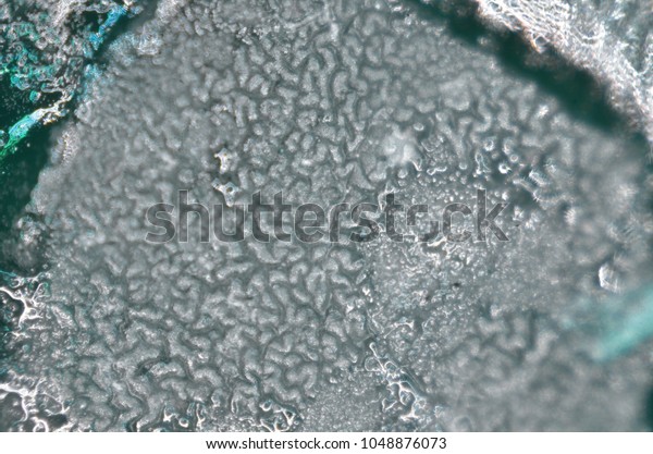 Polymer Under Microscope Stock Photo 1048876073 | Shutterstock
