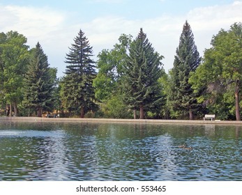 Pond Pine Trees Stock Photo 553465 | Shutterstock