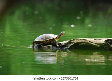 748 Common Slider Images, Stock Photos & Vectors | Shutterstock