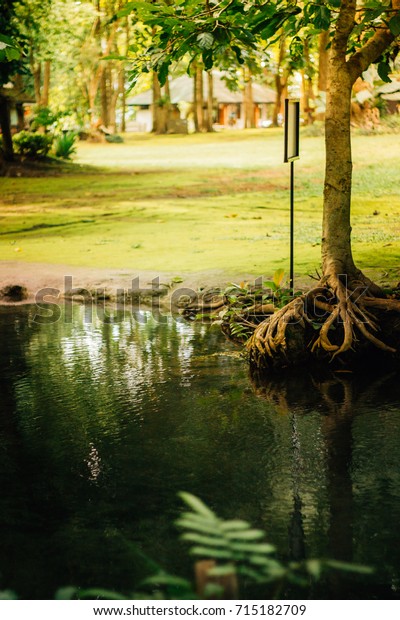 Pond Under Tree Stock Photo 715182709 | Shutterstock