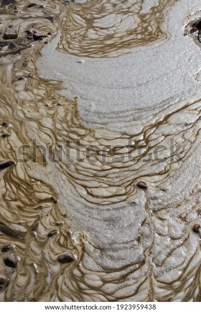 Pool Pollution River Cove Mud Sludge Stock Photo 1923959438 | Shutterstock