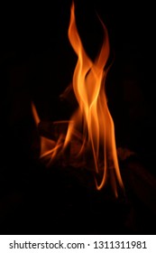 Portrait Fire Stock Photo 1311311981 | Shutterstock