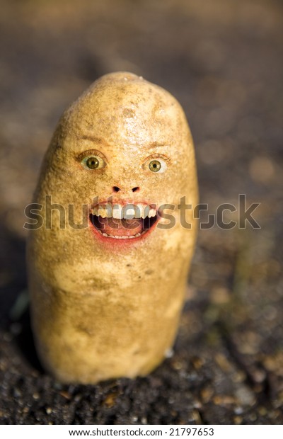 Potato Head Face Stock Photo (Edit Now) 21797653