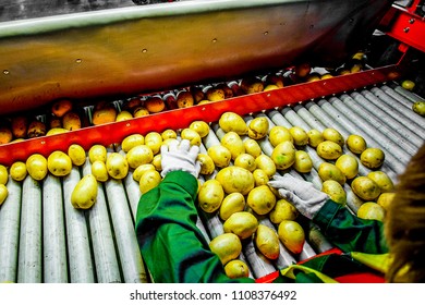 1,741 Potato factory Images, Stock Photos & Vectors | Shutterstock