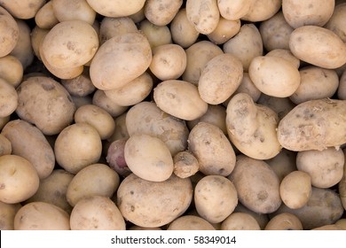 Cheeko Fruit Summer Stock Photo (Edit Now) 1132409303