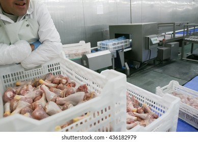 Poultry Processing Plant Chicken Meat Stock Photo (Edit Now) 395320609