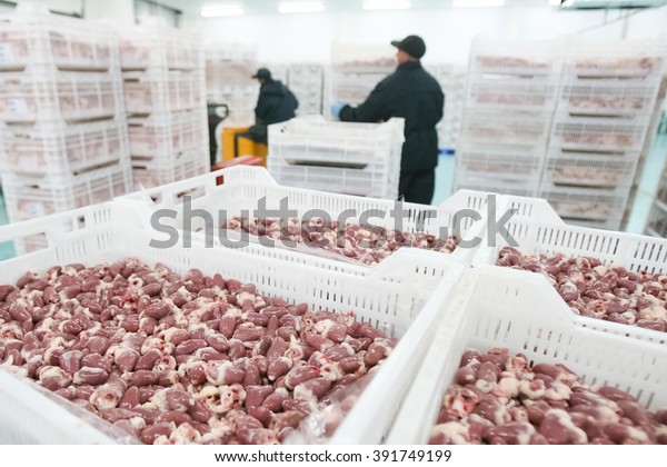 Poultry Processing Plant Stock Photo 391749199 | Shutterstock