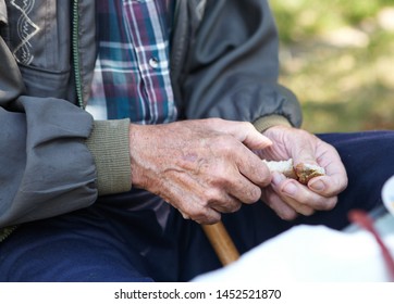 Stock Photo and Image Portfolio by docent | Shutterstock