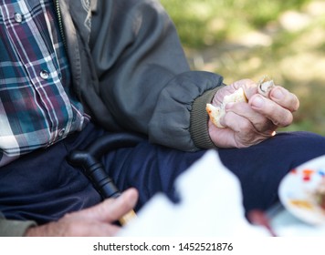 Poverty Bread Elderly Poor Man Eating Stock Photo 1452521876 | Shutterstock