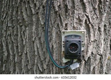 Power Socket On Tree Stock Photo 633612032 | Shutterstock