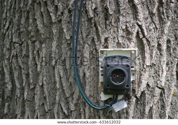 Power Socket On Tree Stock Photo 633612032 | Shutterstock