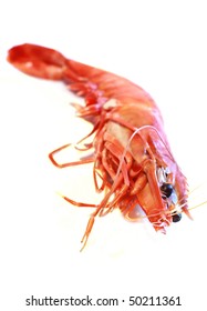 Prawn Stock Photo 50211361 | Shutterstock