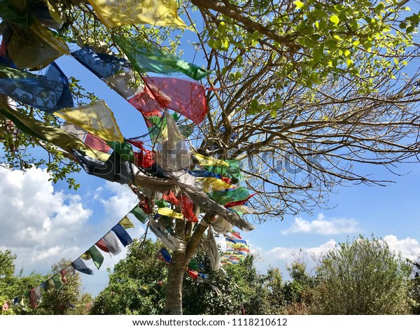 Стоковая фотография 1118210612: Prayer Flags Tree Which Pray Nature ...