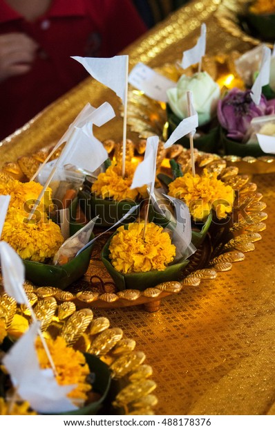 Praying Flowers Stock Photo 488178376 | Shutterstock