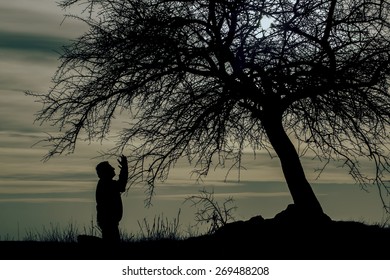 69,280 Pray tree Images, Stock Photos & Vectors | Shutterstock