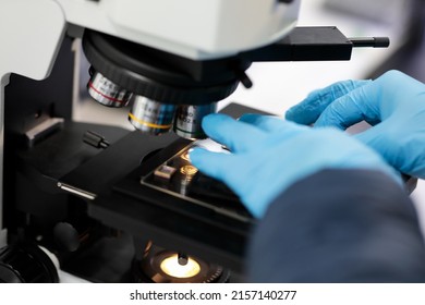 5,956 Microscope preparation Images, Stock Photos & Vectors | Shutterstock
